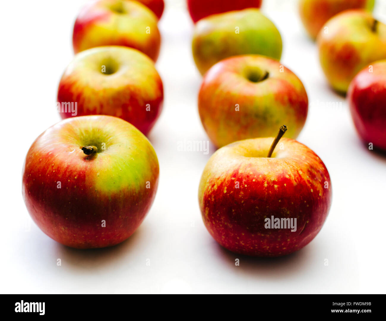 Lines of apples on the white isolated background Stock Photo - Alamy