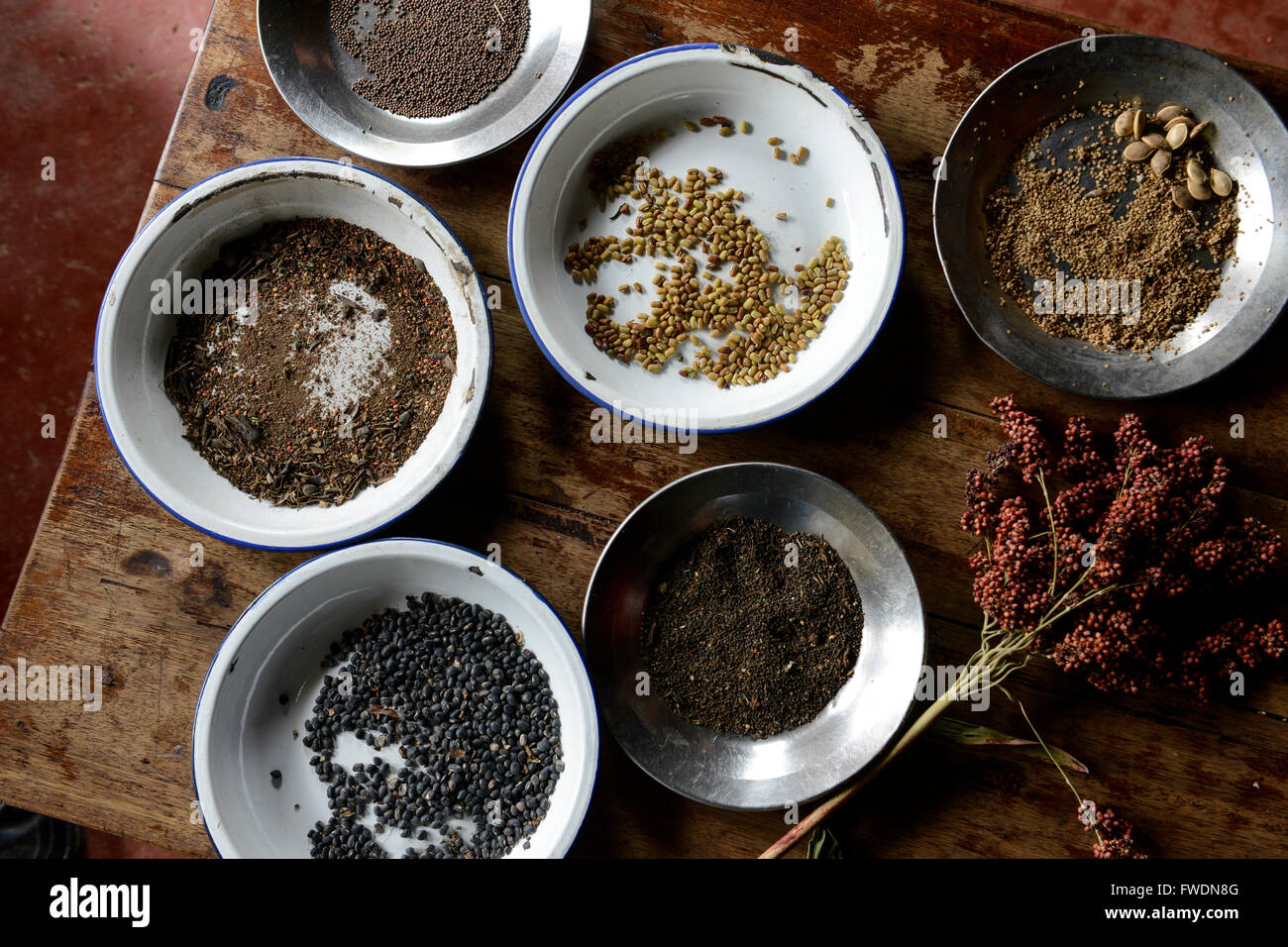 KENYA, Kaimosi, promotion of farming with traditional crops and crop ...