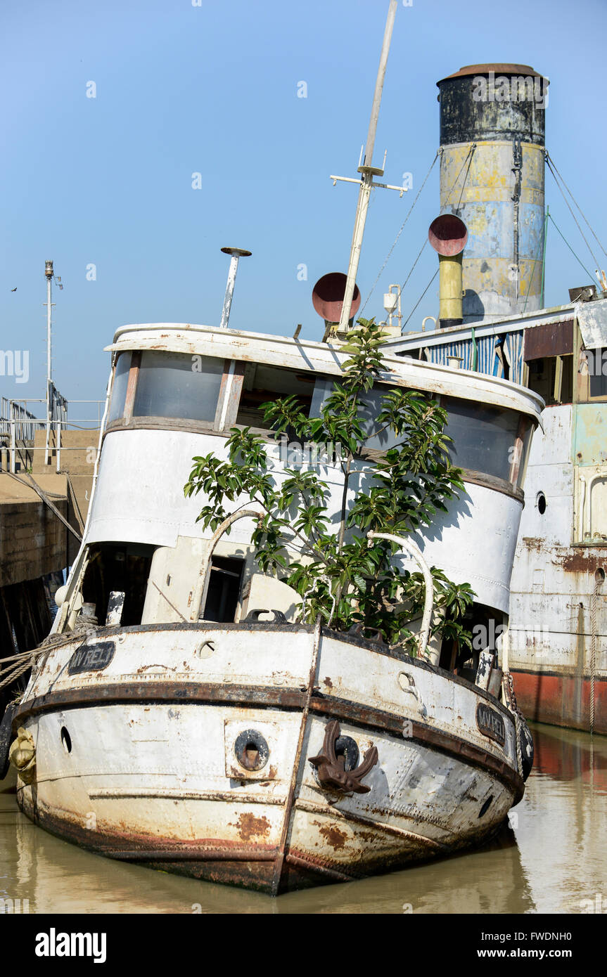 Old steam ship hi-res stock photography and images - Alamy