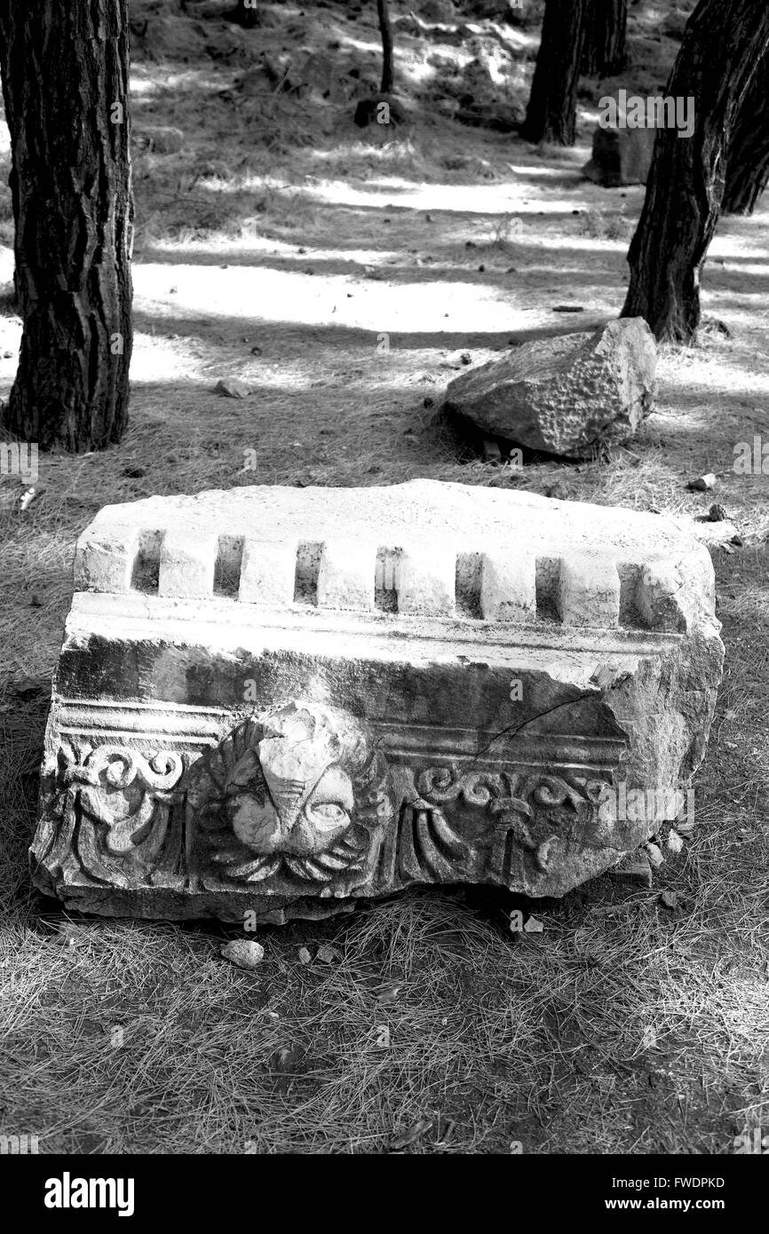 in phaselis temple turkey asia old ruined column and destroyed stone ...