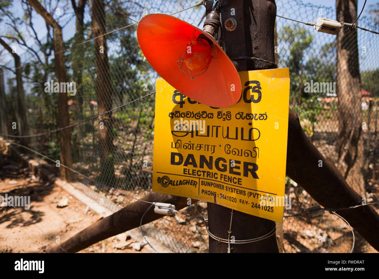 Wildlife roadside hi-res stock photography and images - Alamy