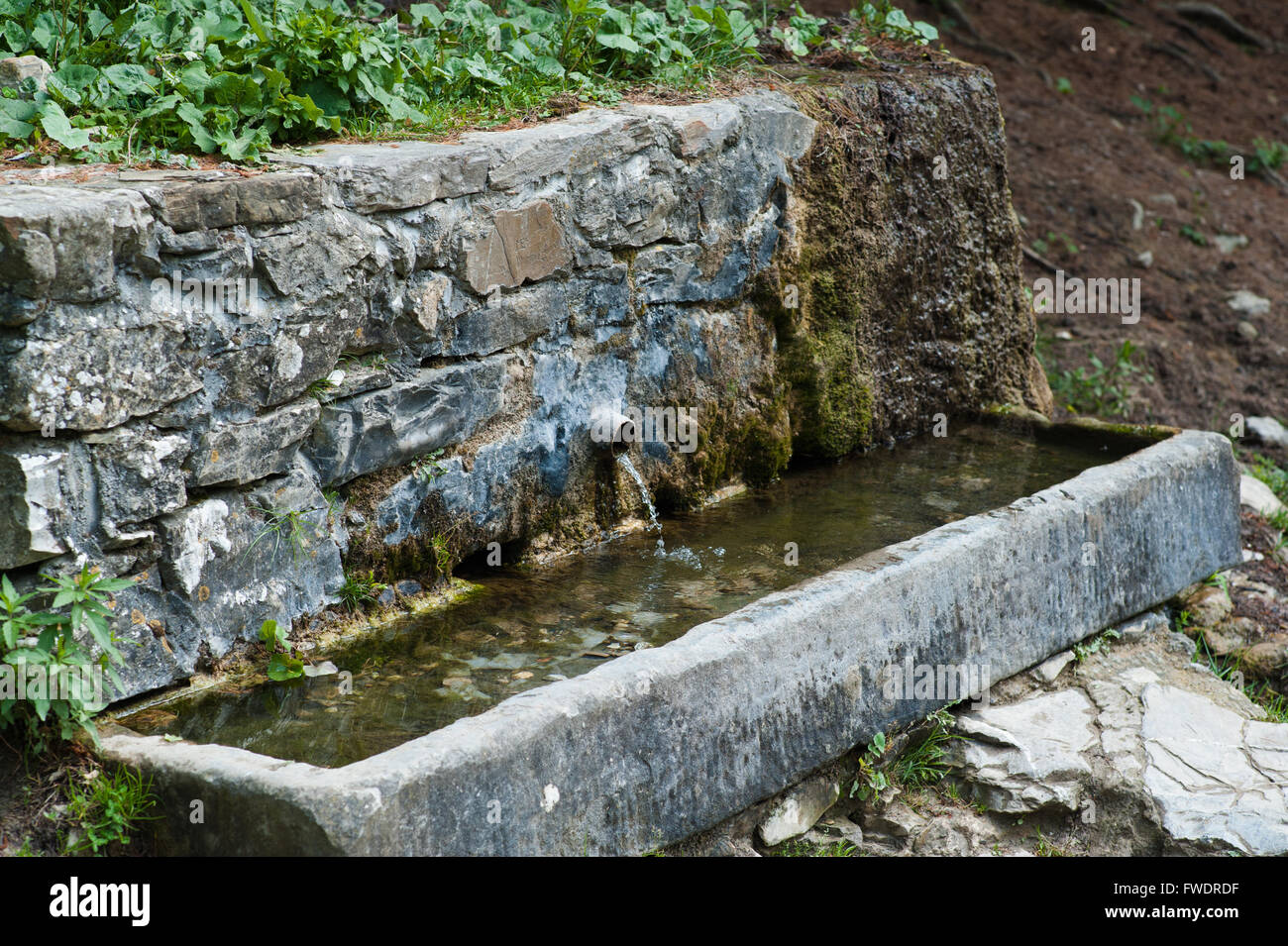High mountain fountain with pure water flowing Stock Photo - Alamy