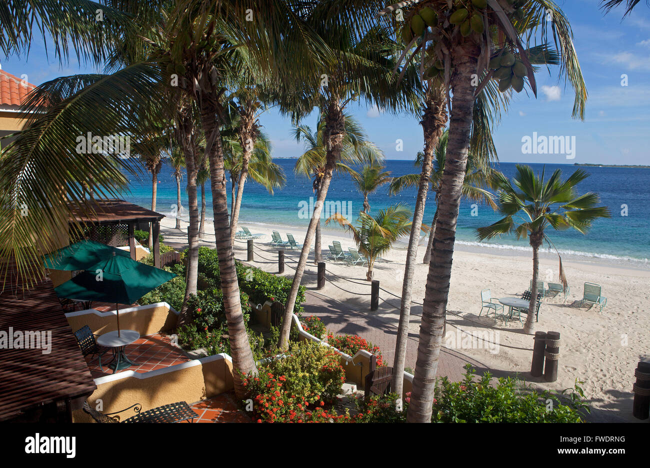 ABC Islands (Aruba,Bonaire and Curaçao) : Harbour Village hotel beach ...