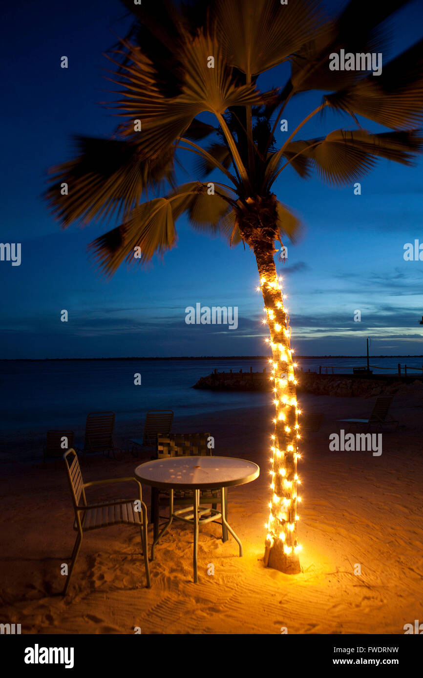ABC Islands (Aruba,Bonaire and Curaçao) : Harbour Village hotel beach ...