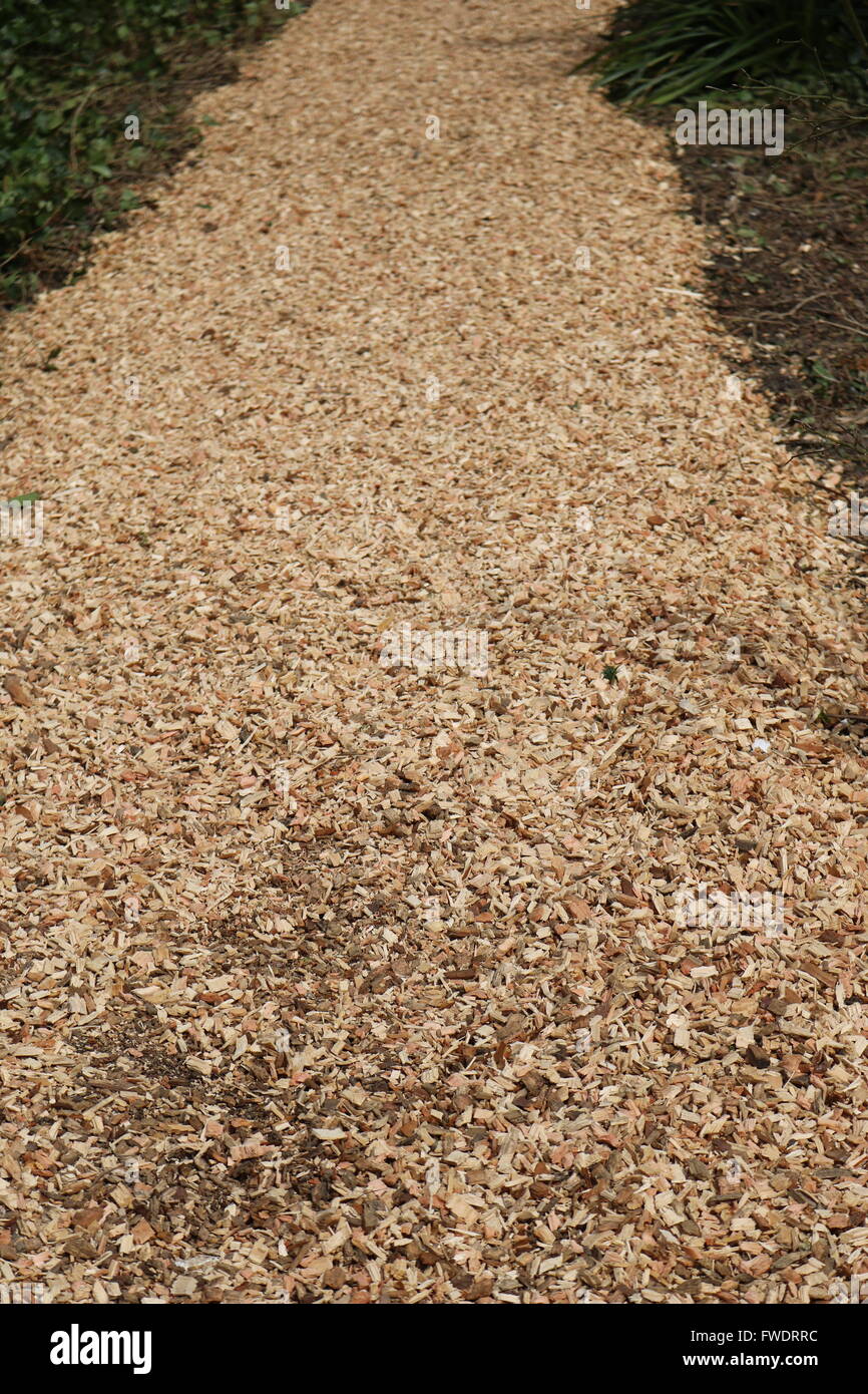 A wood chippings path Stock Photo - Alamy