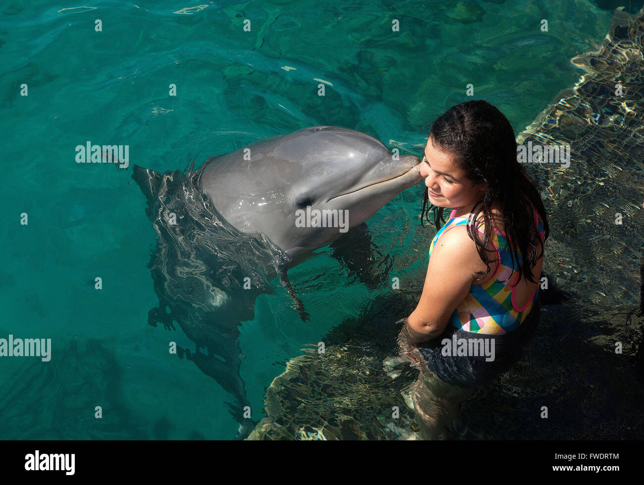 ABC Islands (Aruba,Bonaire and Curaçao) : dolphins at the Dolphin ...