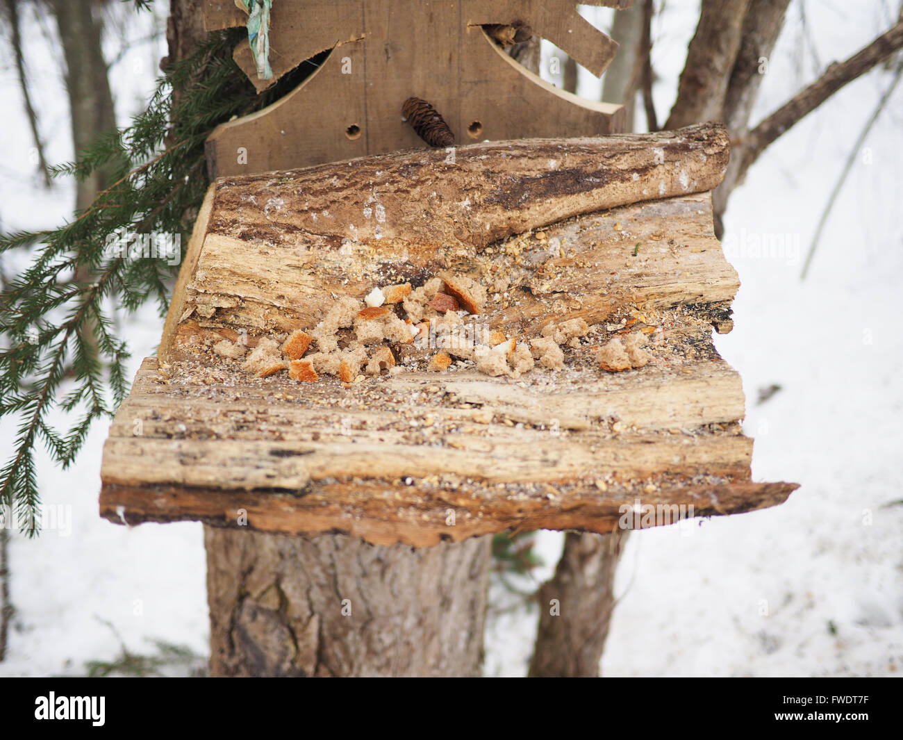 wooden trough in the forest Stock Photo - Alamy