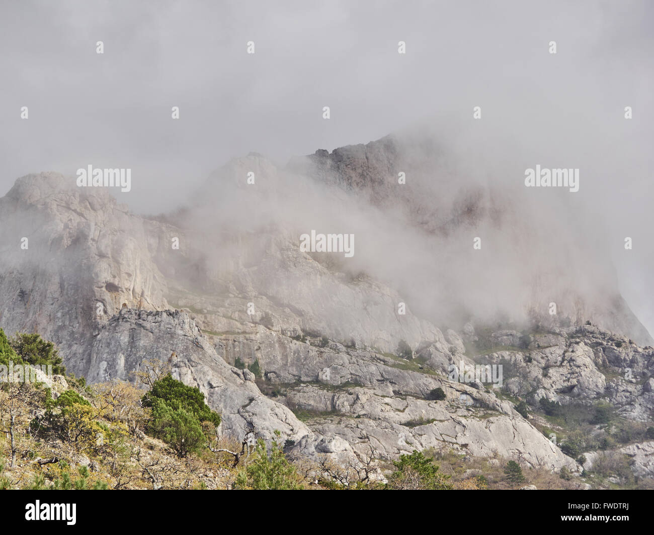 rocks in the fog Stock Photo - Alamy