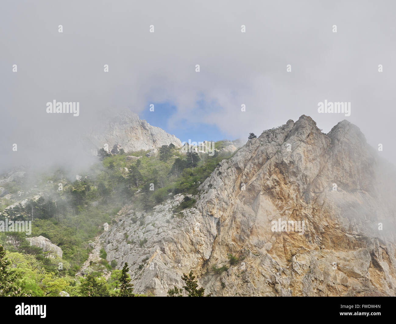 rocks in the fog Stock Photo - Alamy