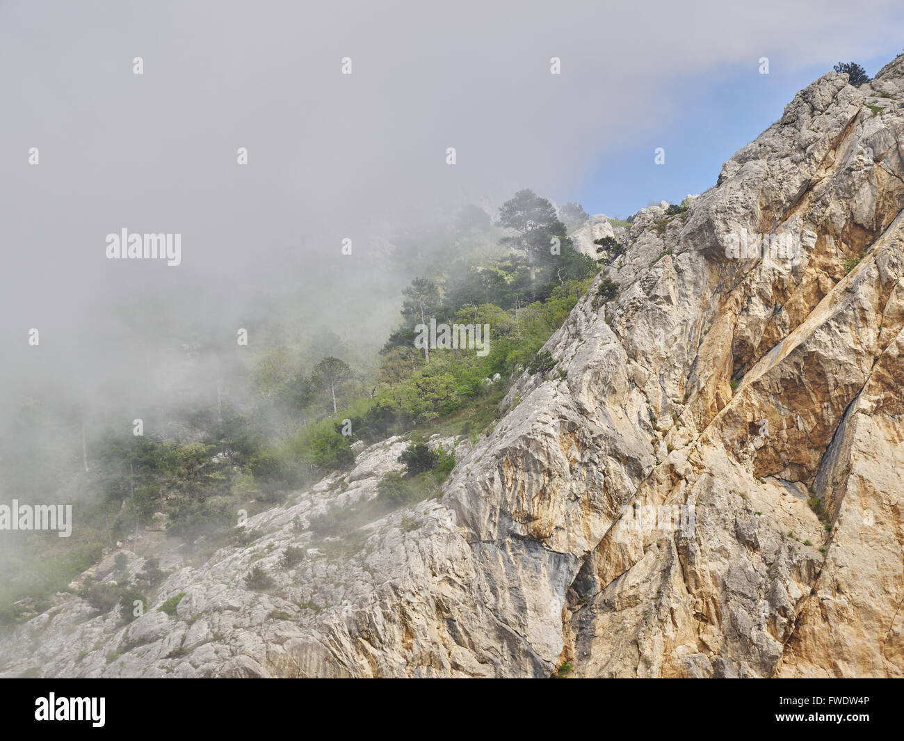 rocks in the fog Stock Photo - Alamy