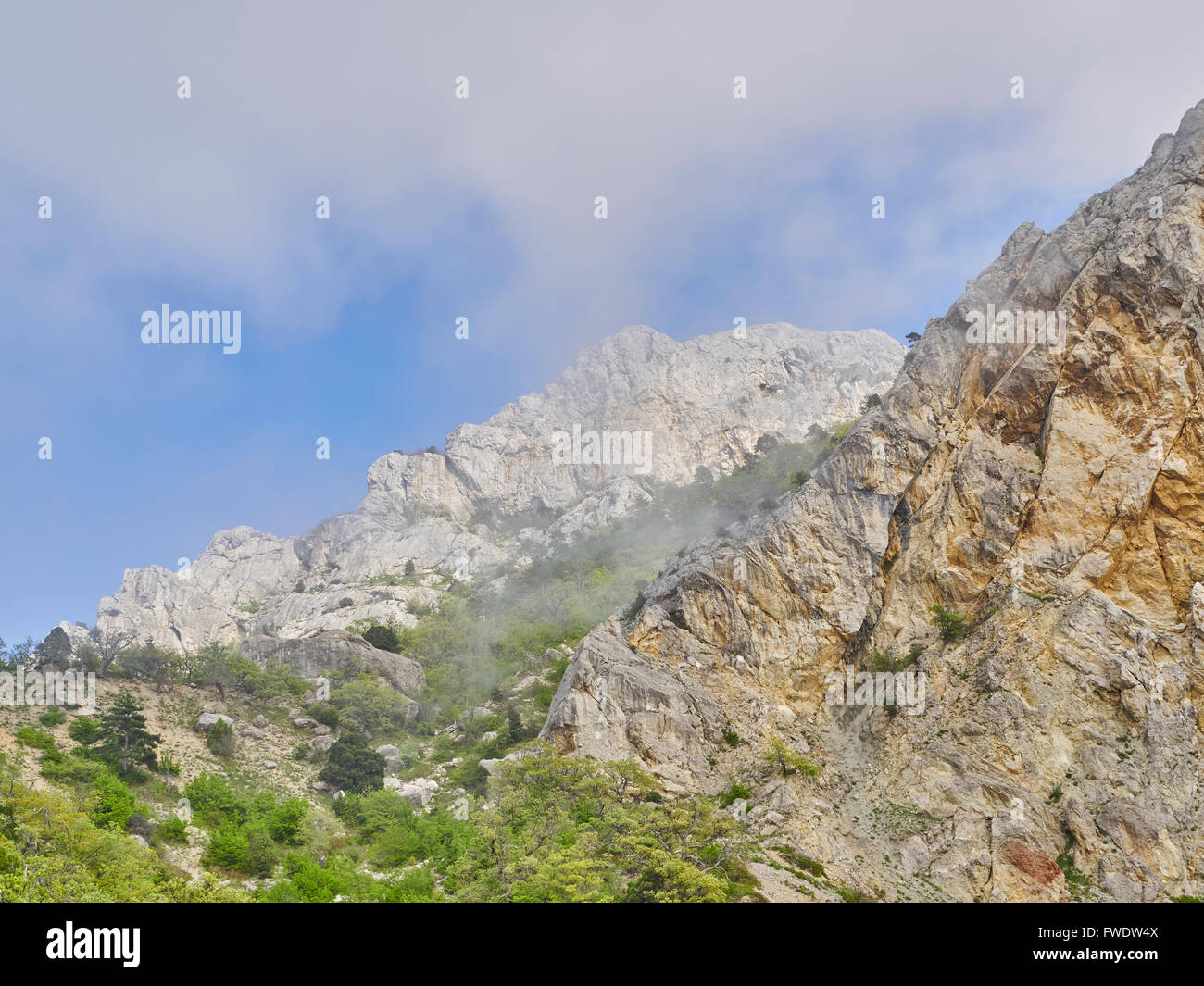 rocks in the fog Stock Photo - Alamy