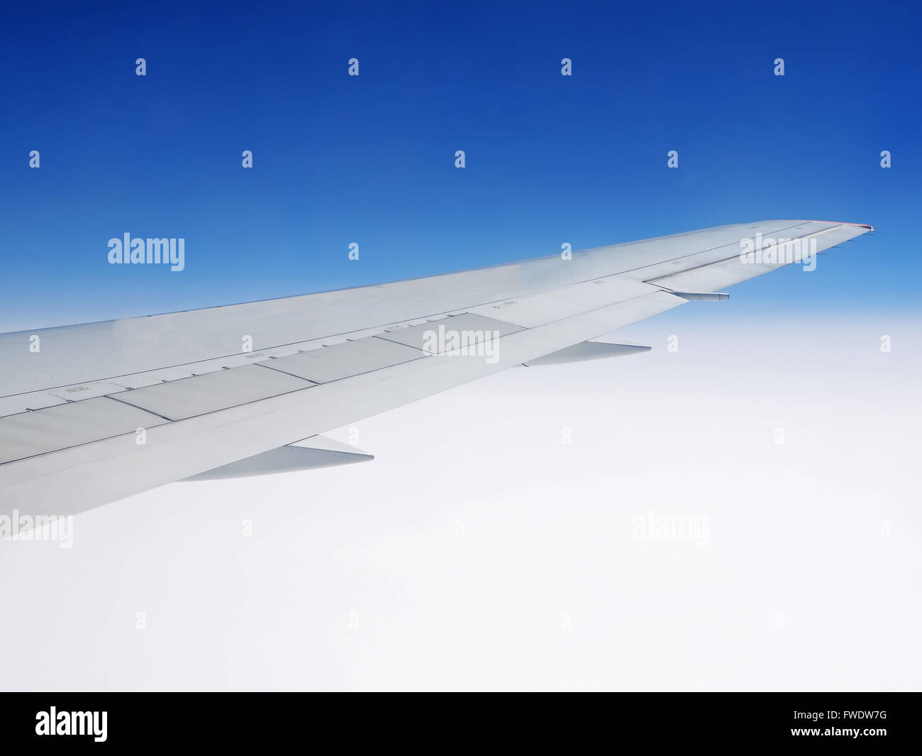 wing aircraft in the sky Stock Photo - Alamy