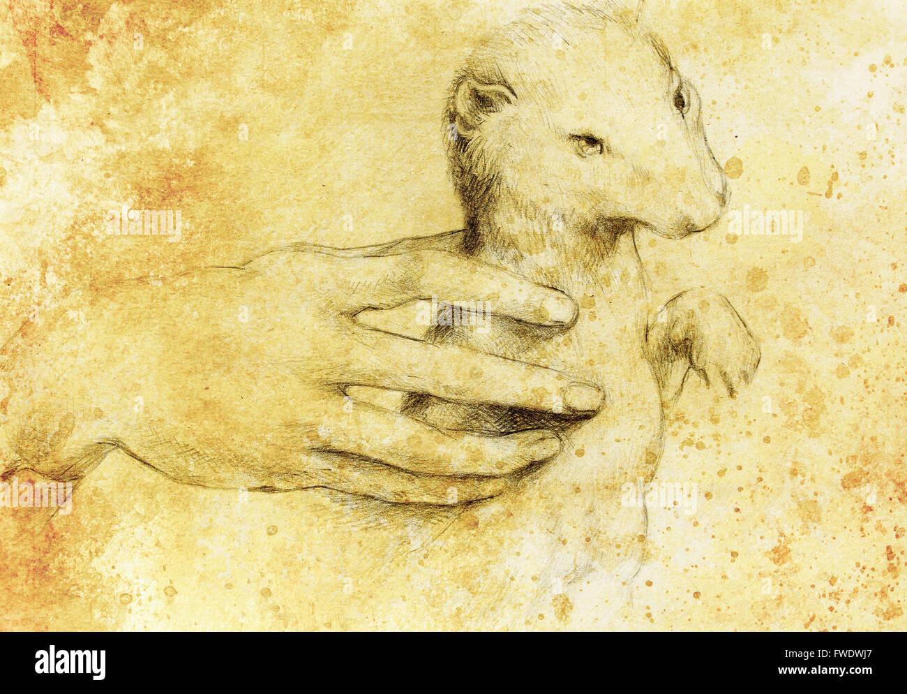 Da vinci hand anatomy hi-res stock photography and images - Alamy