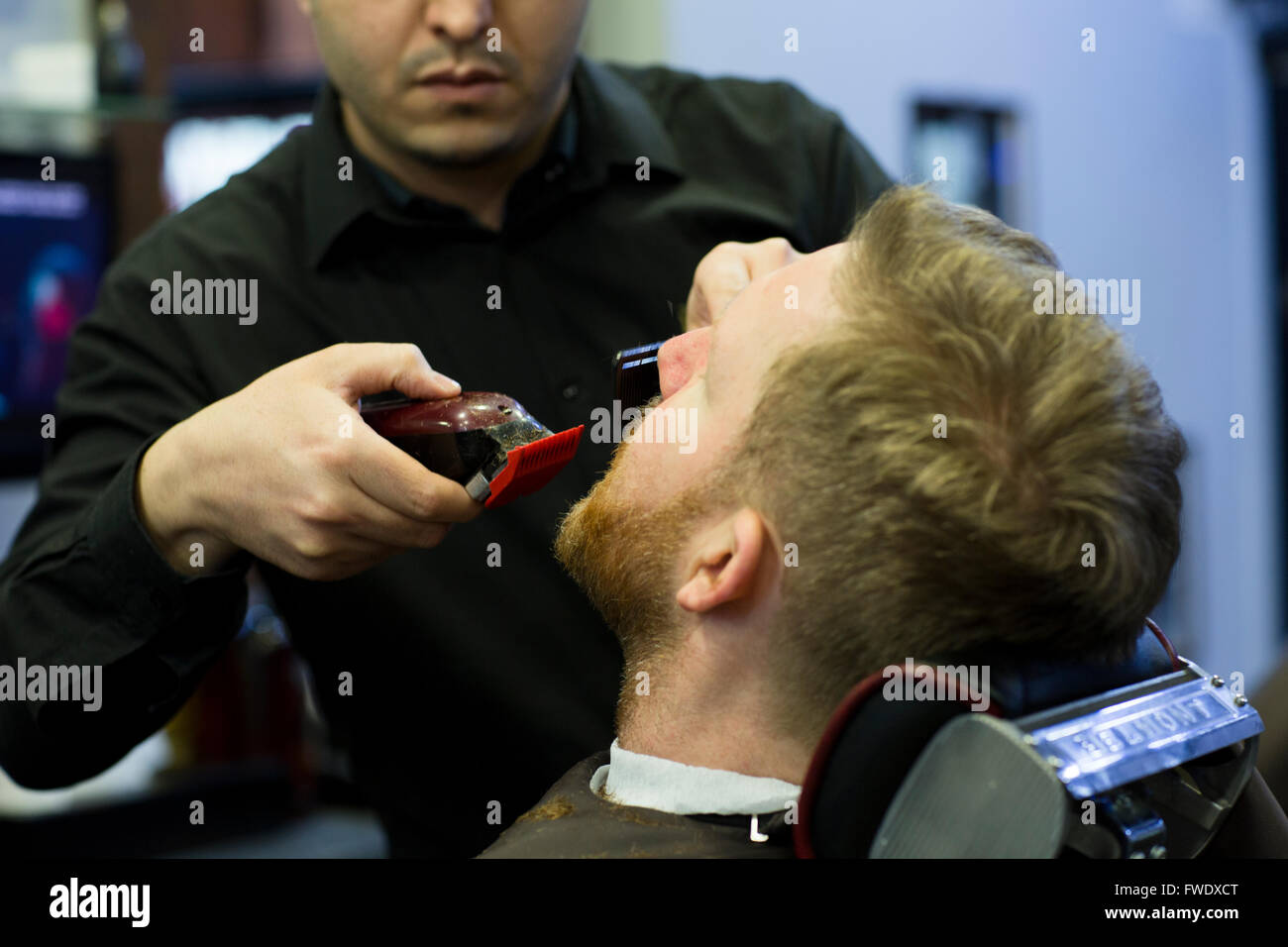 Barber trimming beard Stock Photo - Alamy