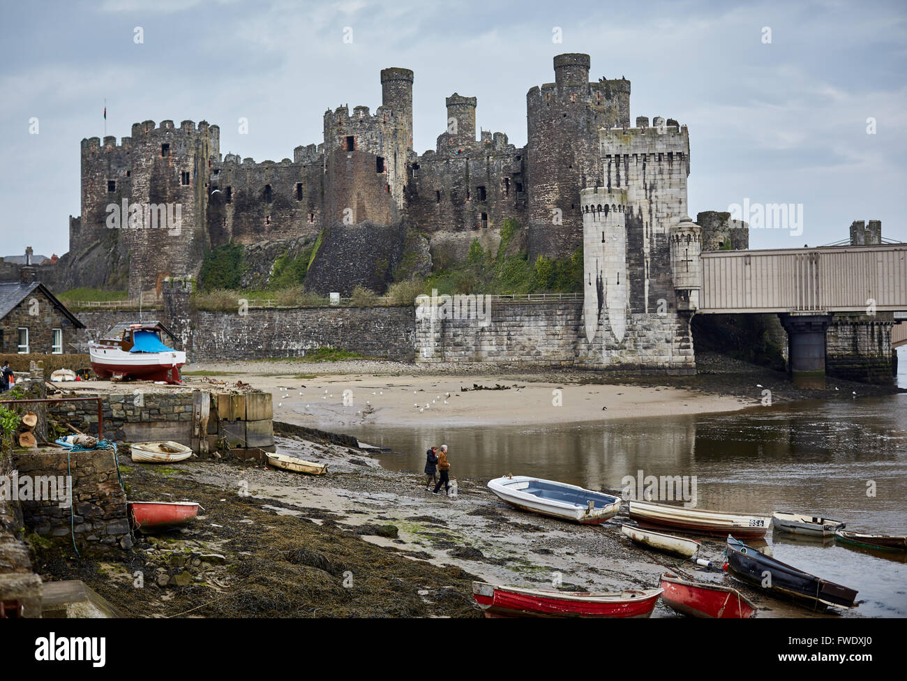 Ladys island castle hi-res stock photography and images - Alamy