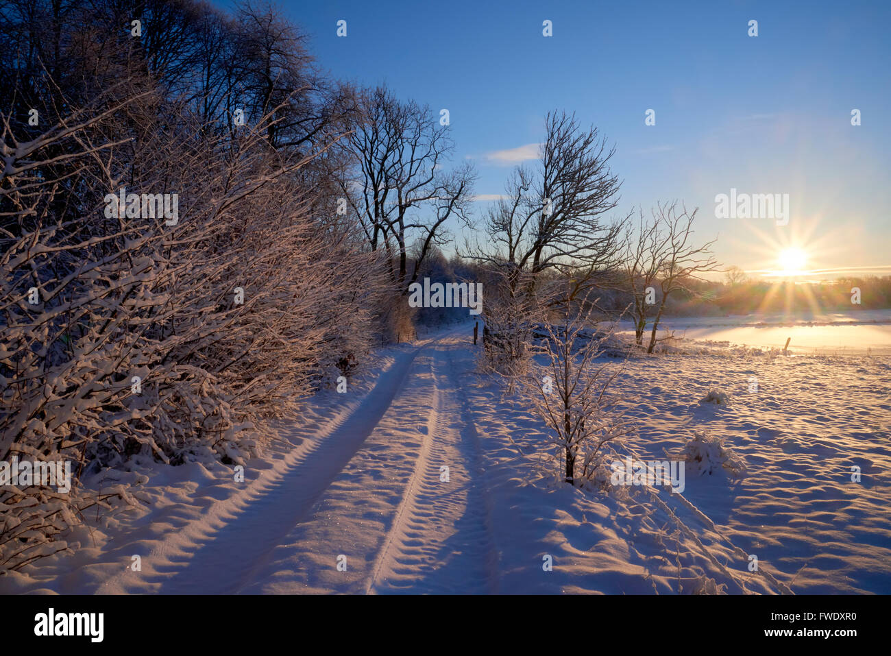 Country lane toward the sun on a a sunny early winter morning Stock ...