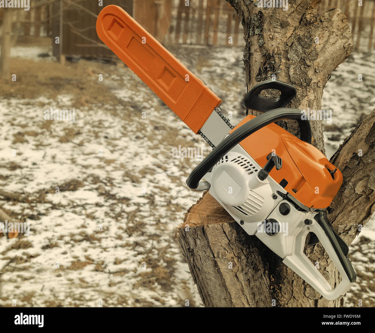 .On one of the branches of felled trees is a modern and powerful ...