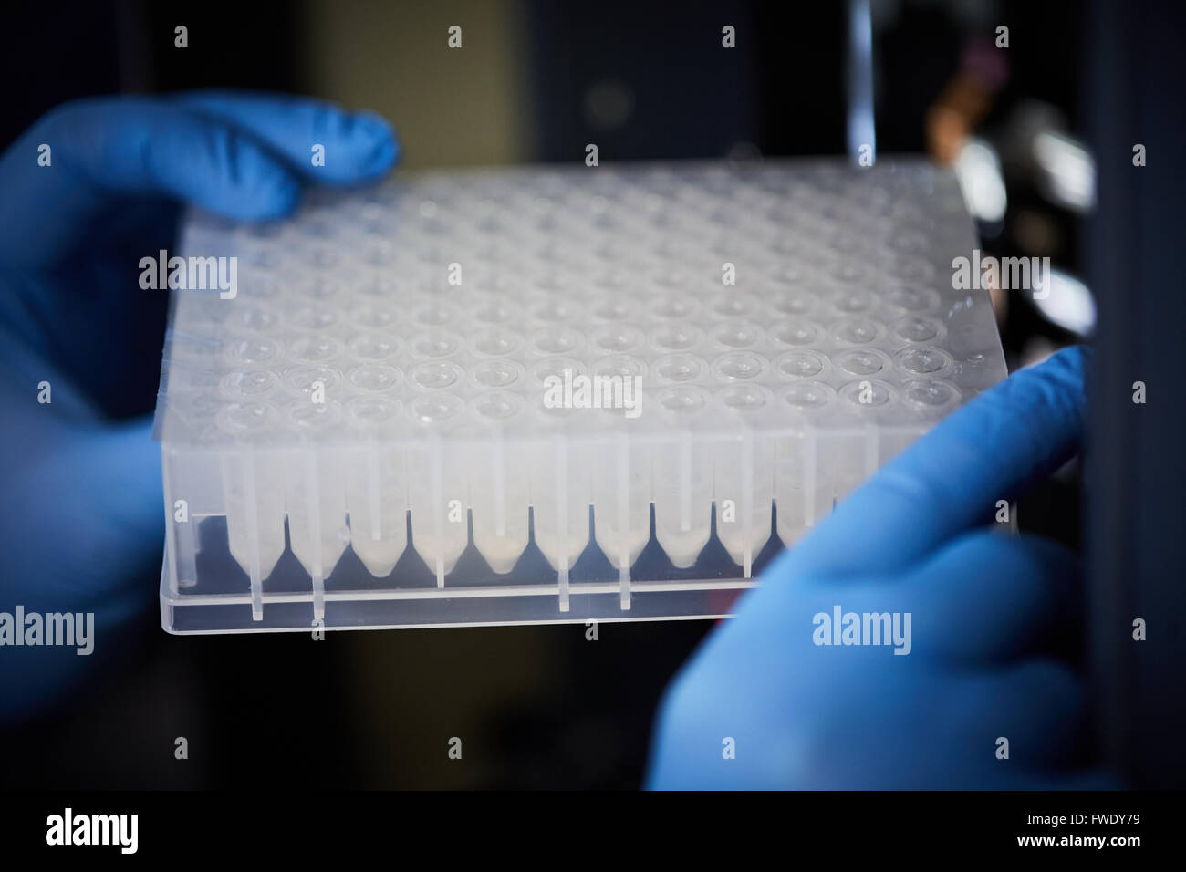well plate loaded into testing machine analysing biology analyser blood ...