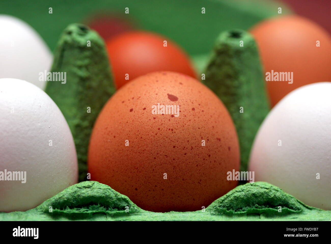 Free range farm eggs in an egg box Stock Photo - Alamy