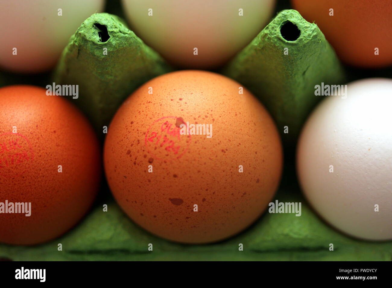 Free range farm eggs in an egg box Stock Photo - Alamy