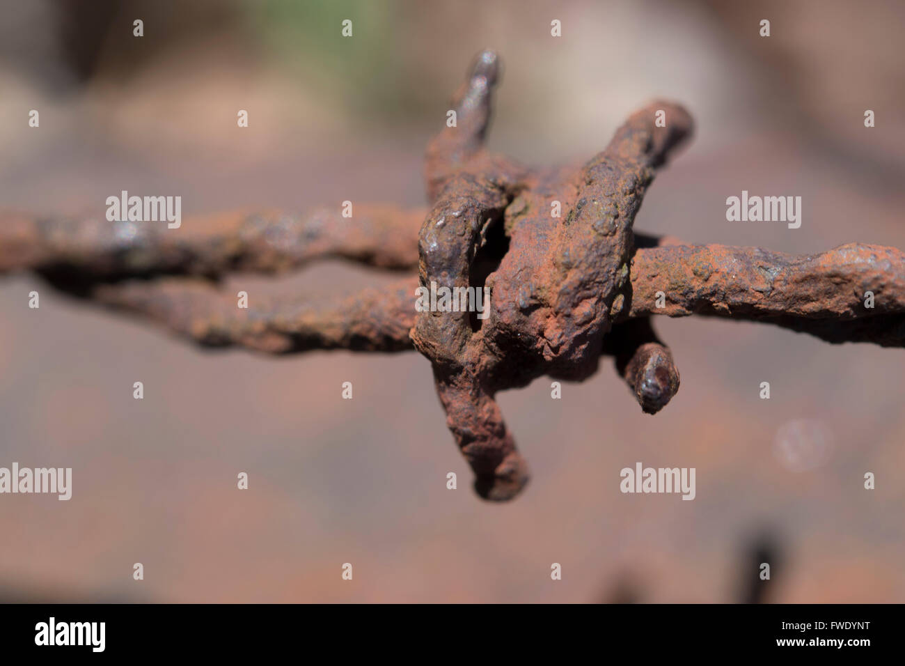 rusted barbed wire closeup Stock Photo - Alamy