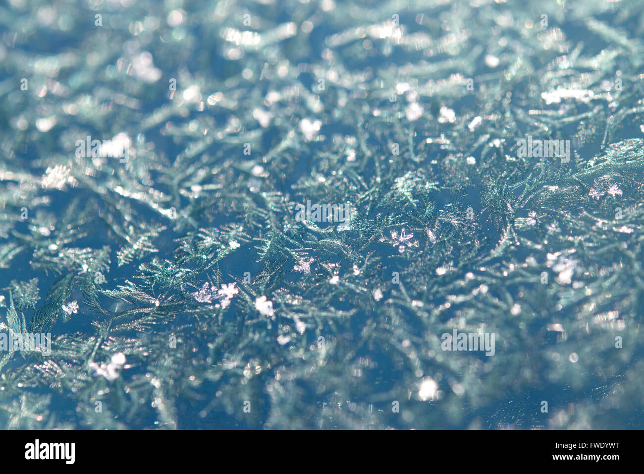 abstract ice crystals formation of frost Stock Photo - Alamy