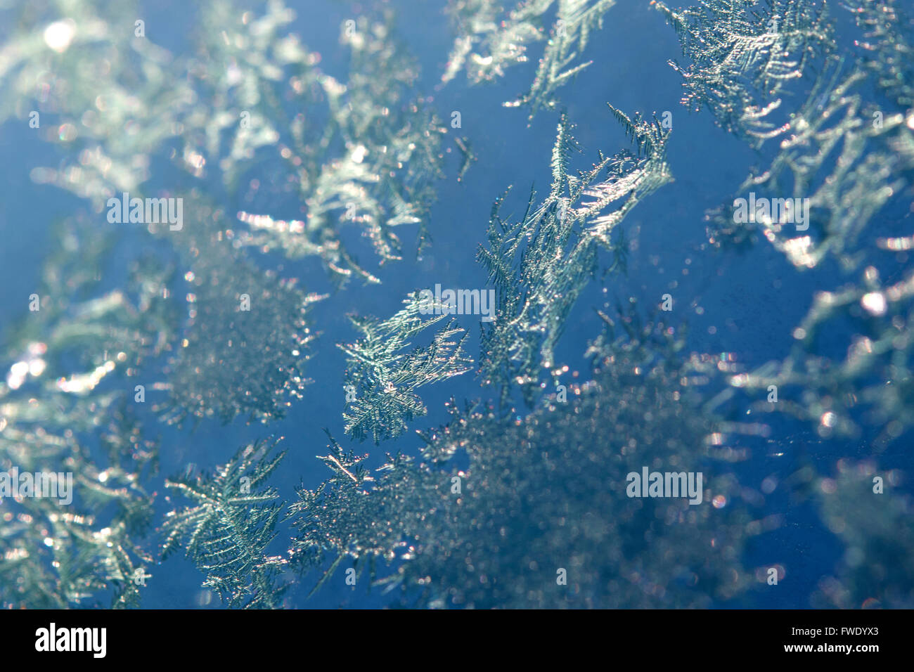 abstract ice crystals formation of frost Stock Photo - Alamy
