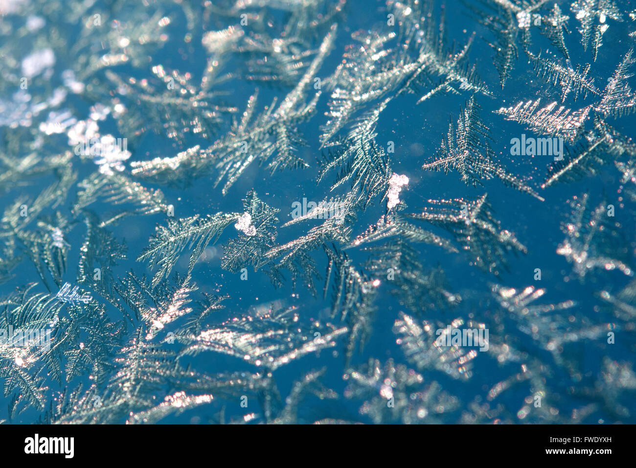 Frost formation hi-res stock photography and images - Alamy