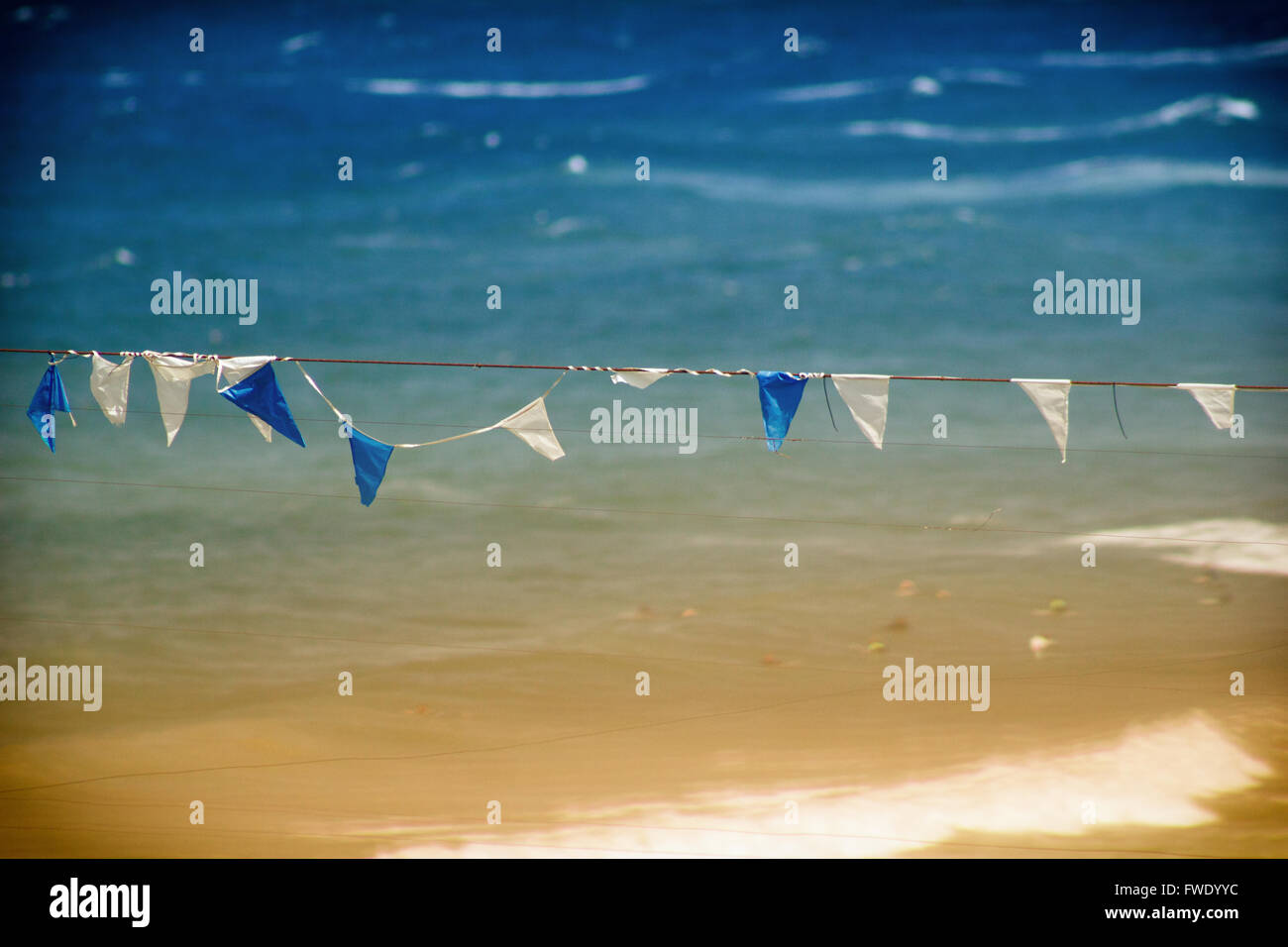 Bunting at the sea side Stock Photo - Alamy