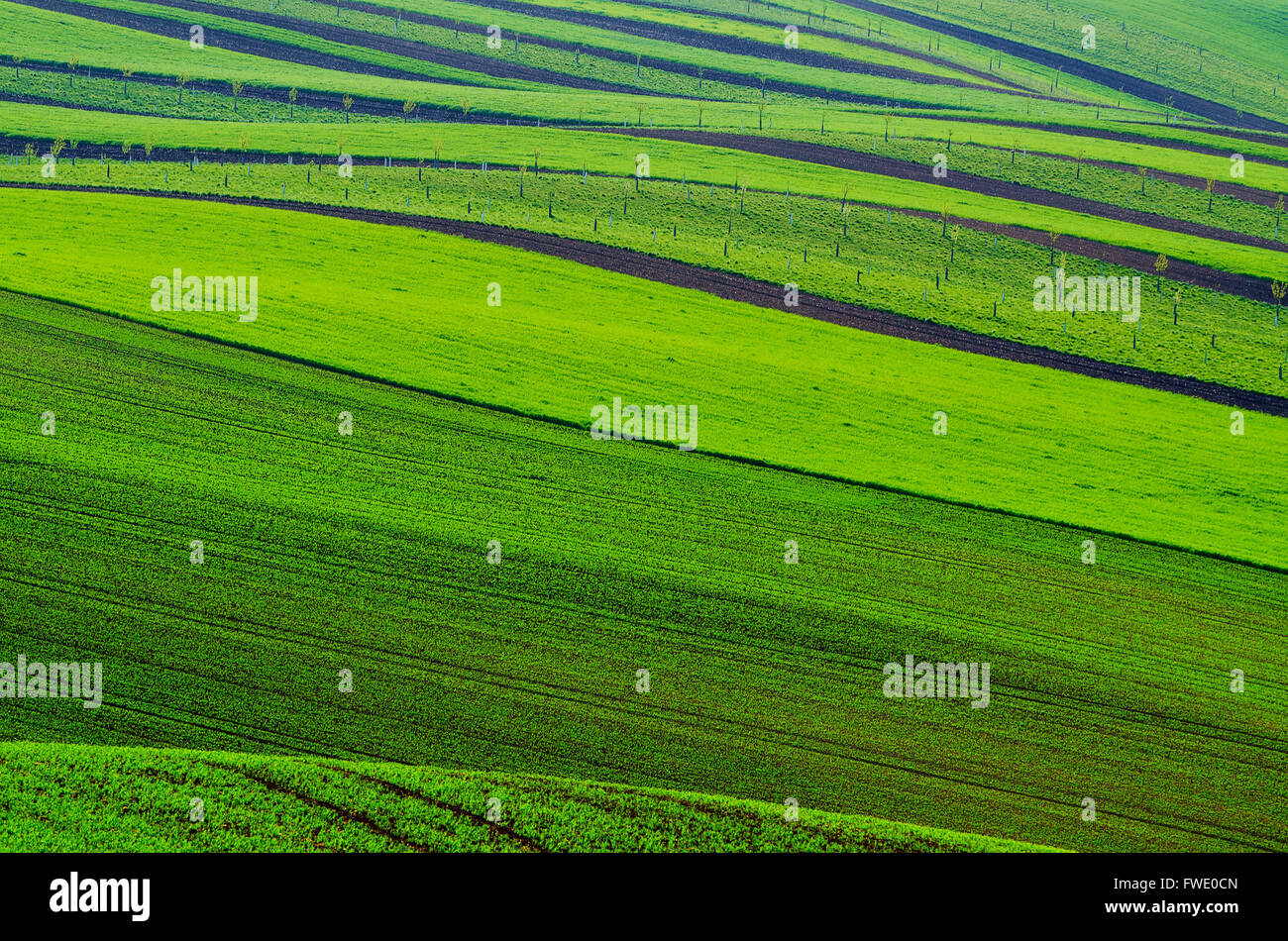Rural spring landscape Stock Photo - Alamy