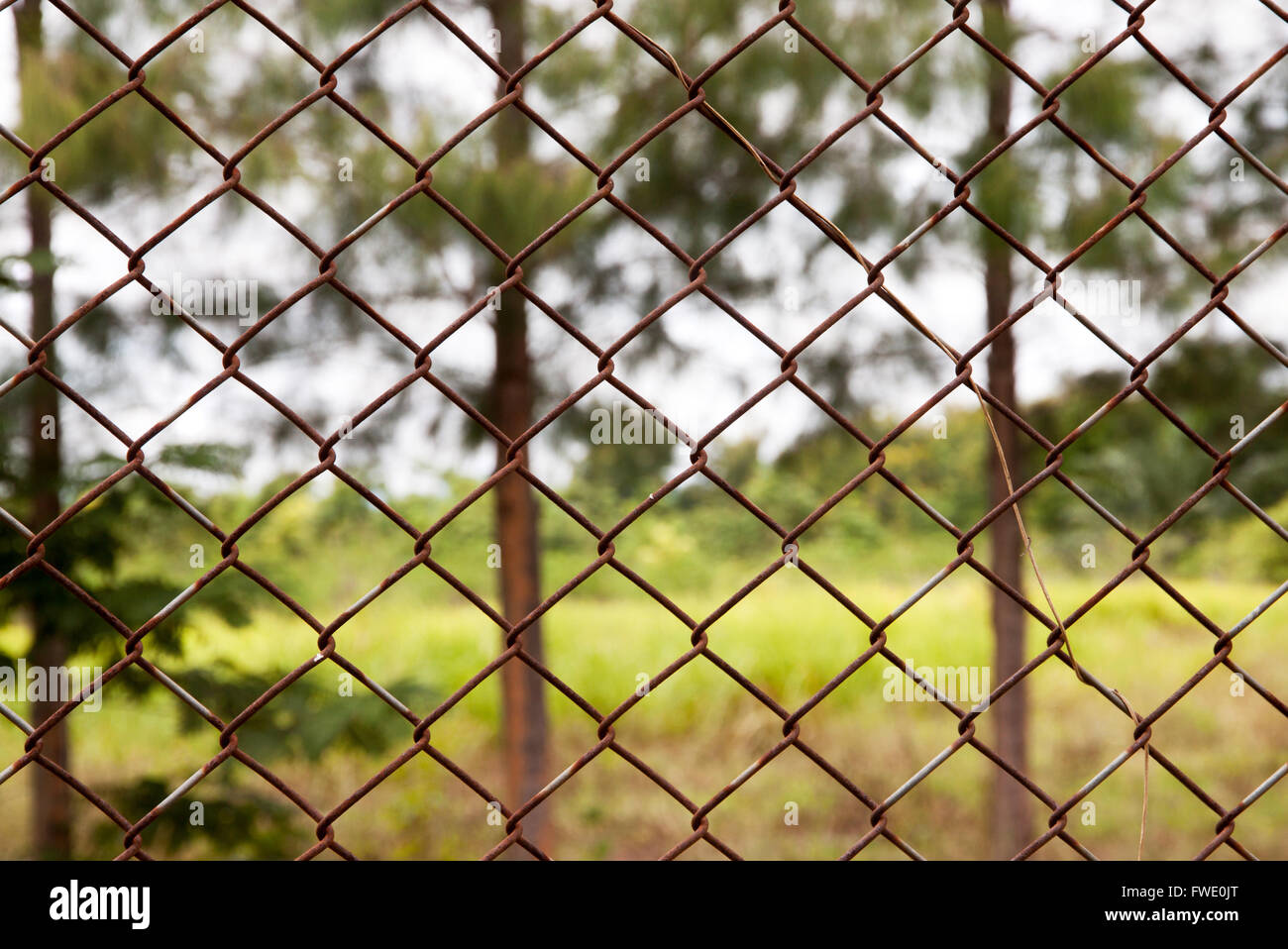wire rusty mesh and blur nature background Stock Photo - Alamy