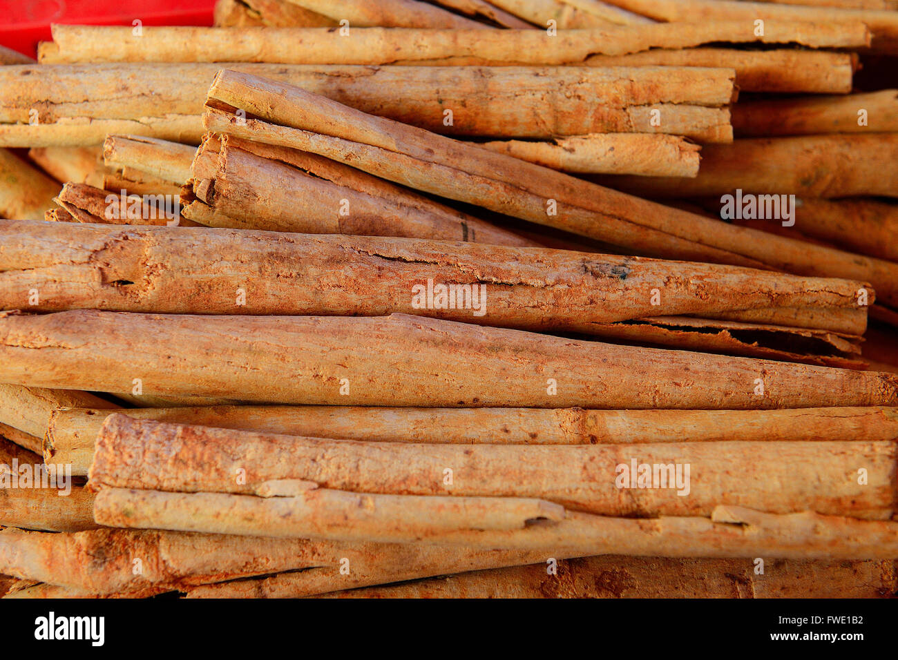 Ancient rock art, drawings of the San people, indigenous people of ...