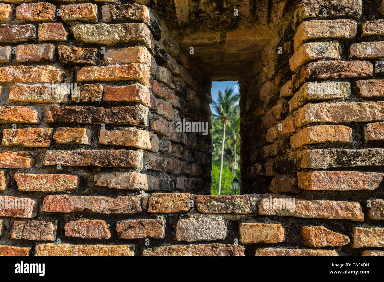 A coconut view from old castle Stock Photo - Alamy