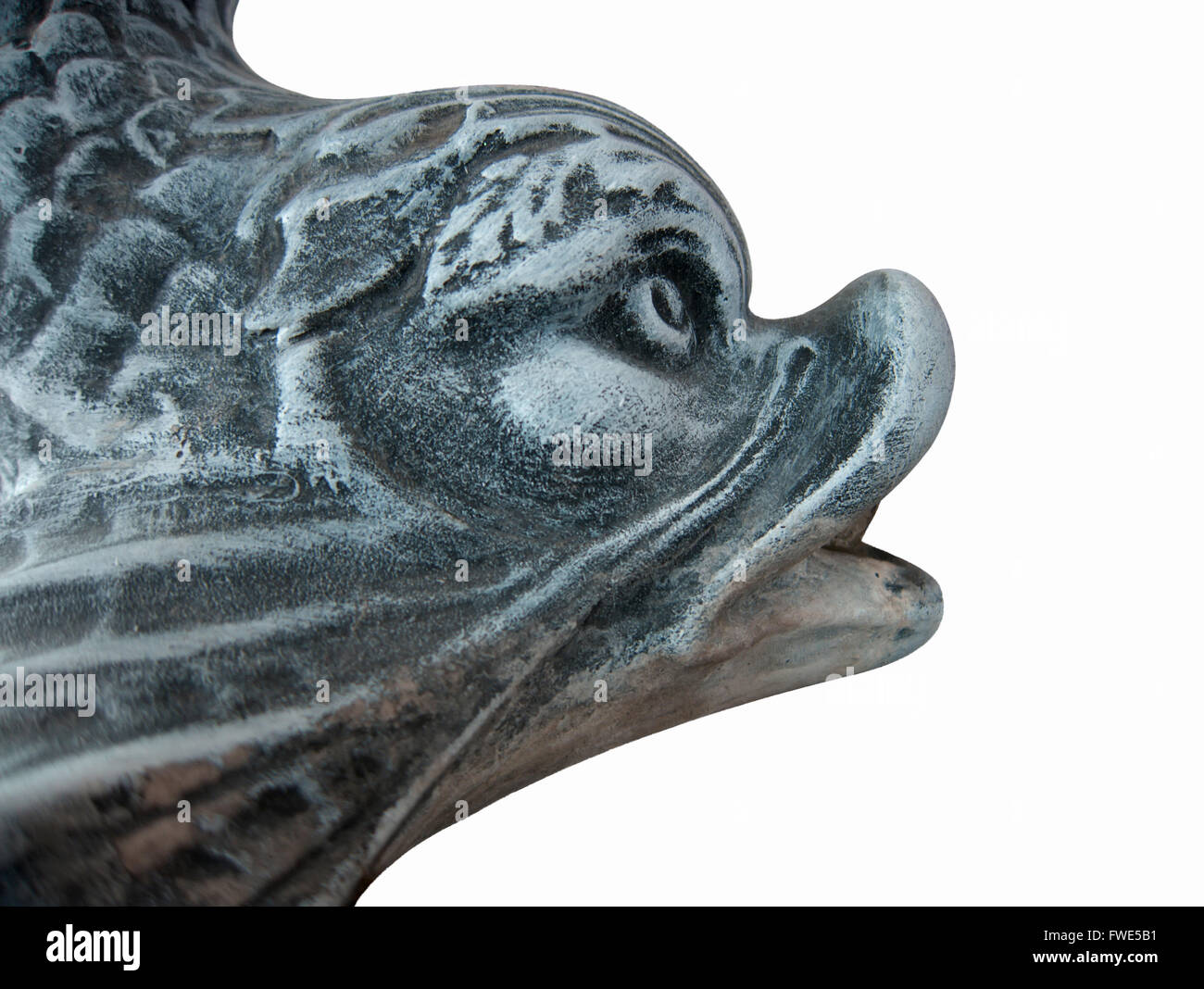 Scale plaster hi-res stock photography and images - Alamy