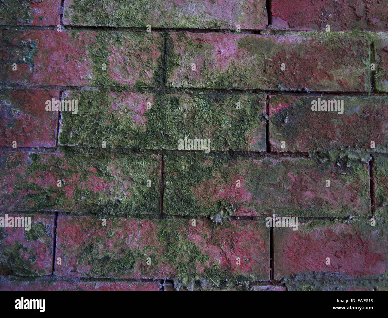 Brick wall with moss growing on it under a bridge in Prospect Park ...