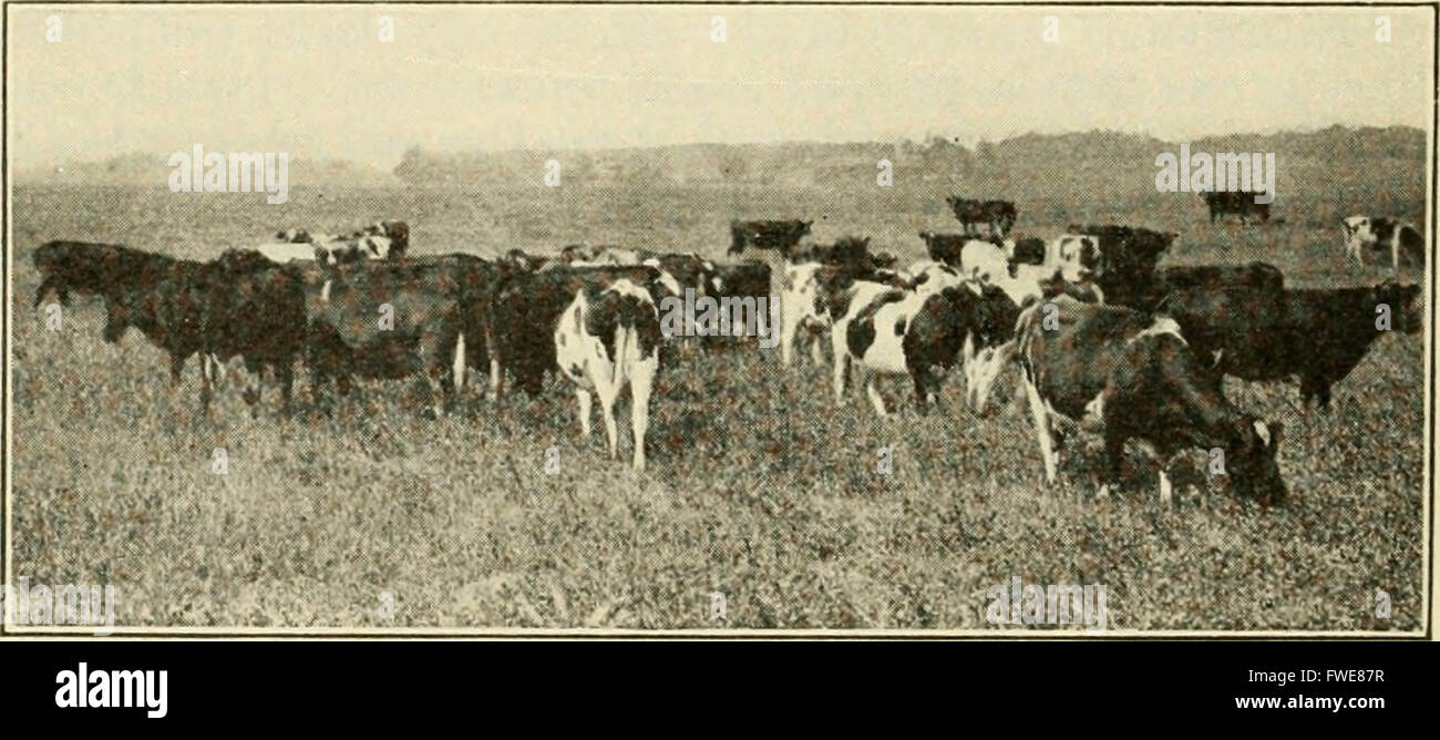 "Elements of farm practice" (1919 Stock Photo - Alamy