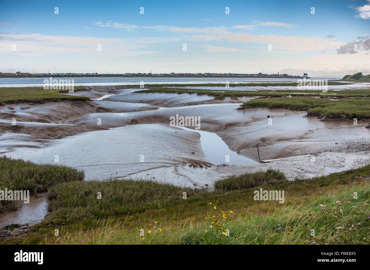 River Wyre Estuary at Arm Hill near Preesall Lancashire Stock Photo - Alamy