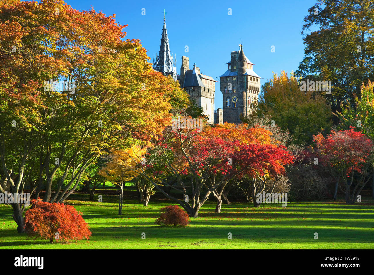 Cardiff Castle, Bute Park, Autumn, Cardiff, Wales, U.K Stock Photo ...