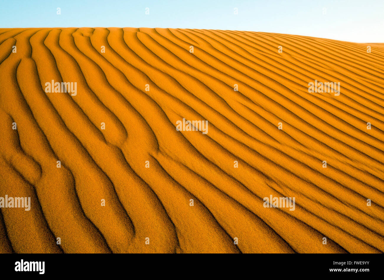 Sharqiya (Wahiba) Sands Stock Photo - Alamy
