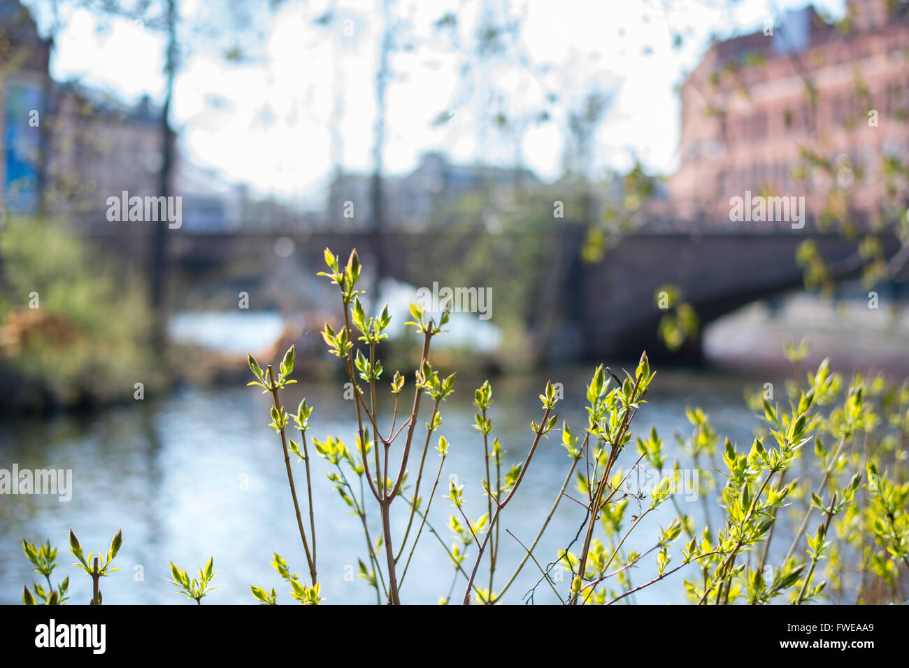 Nordic spring hi-res stock photography and images - Alamy