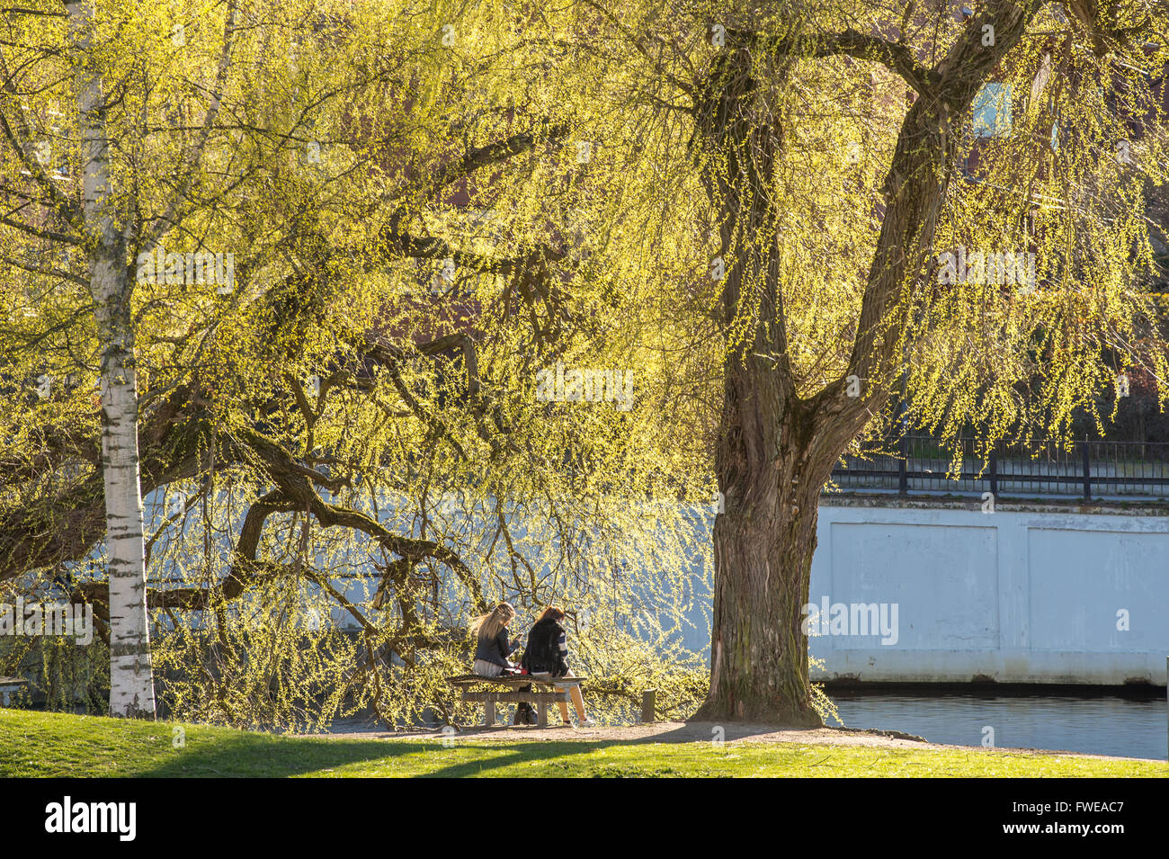 Two young women enjoying springtime in Sweden Stock Photo - Alamy