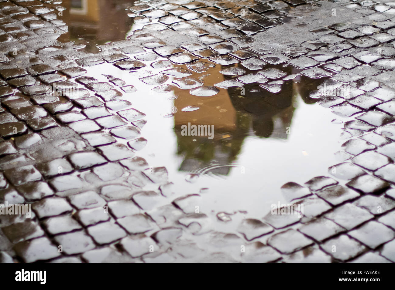Blurry puddle reflection of Rome buildings Stock Photo - Alamy