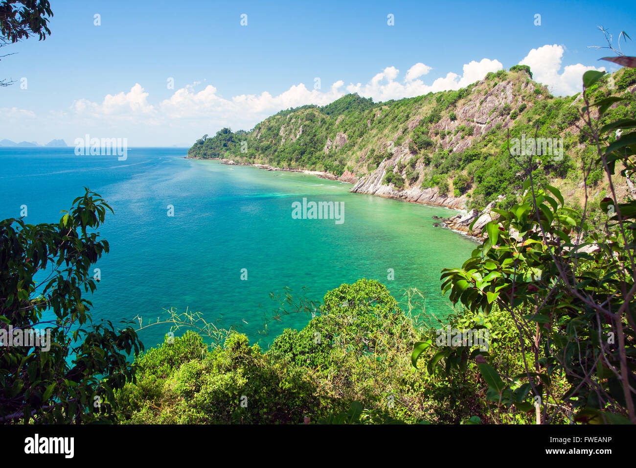 sea and jungle Stock Photo - Alamy