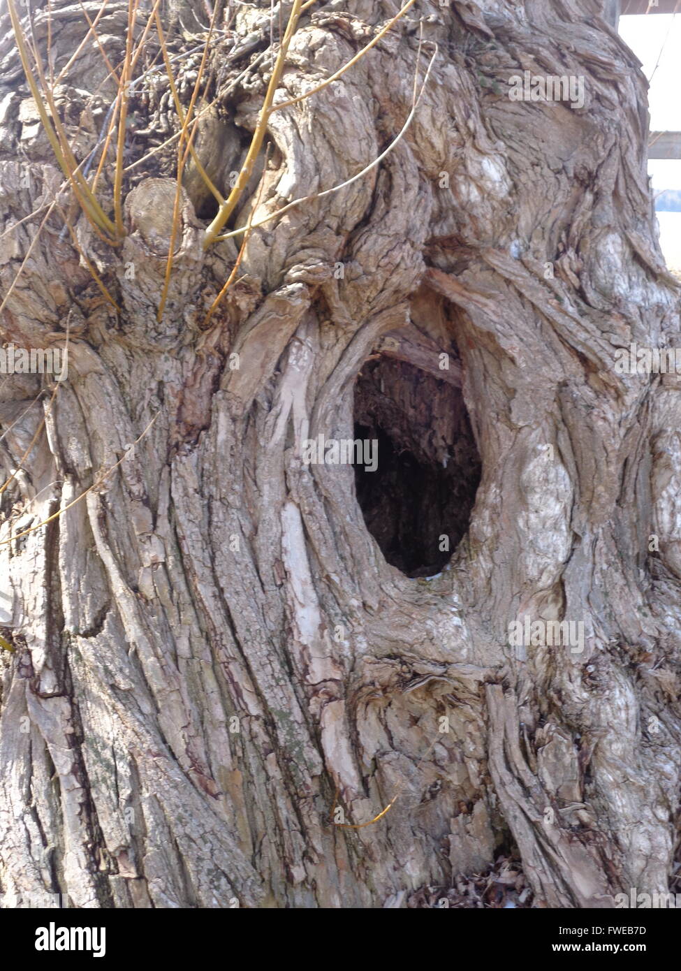 Natural hole hi-res stock photography and images - Alamy