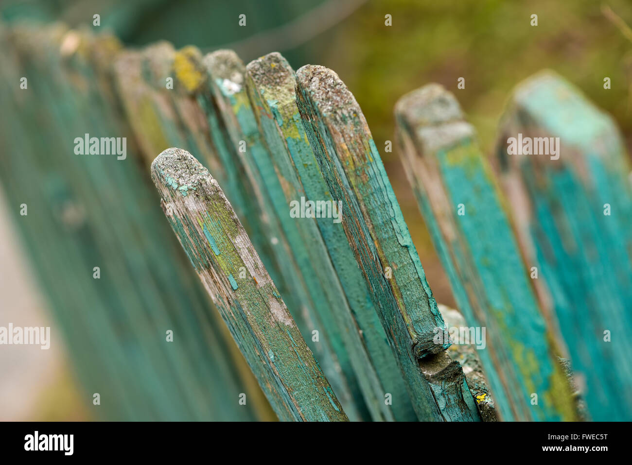 Vertical green wooden fence with green background Stock Photo - Alamy