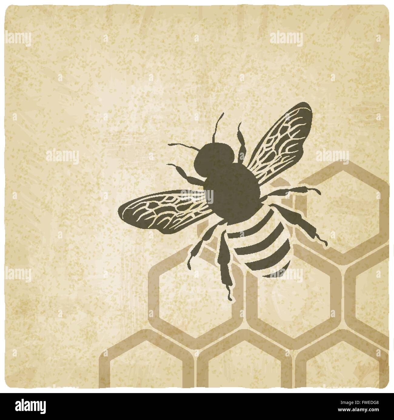 Bee hive pattern vector vectors hi-res stock photography and images - Alamy