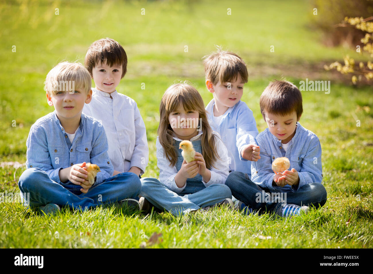 Group of preschool kids, friends and siblings, playing in the park with ...
