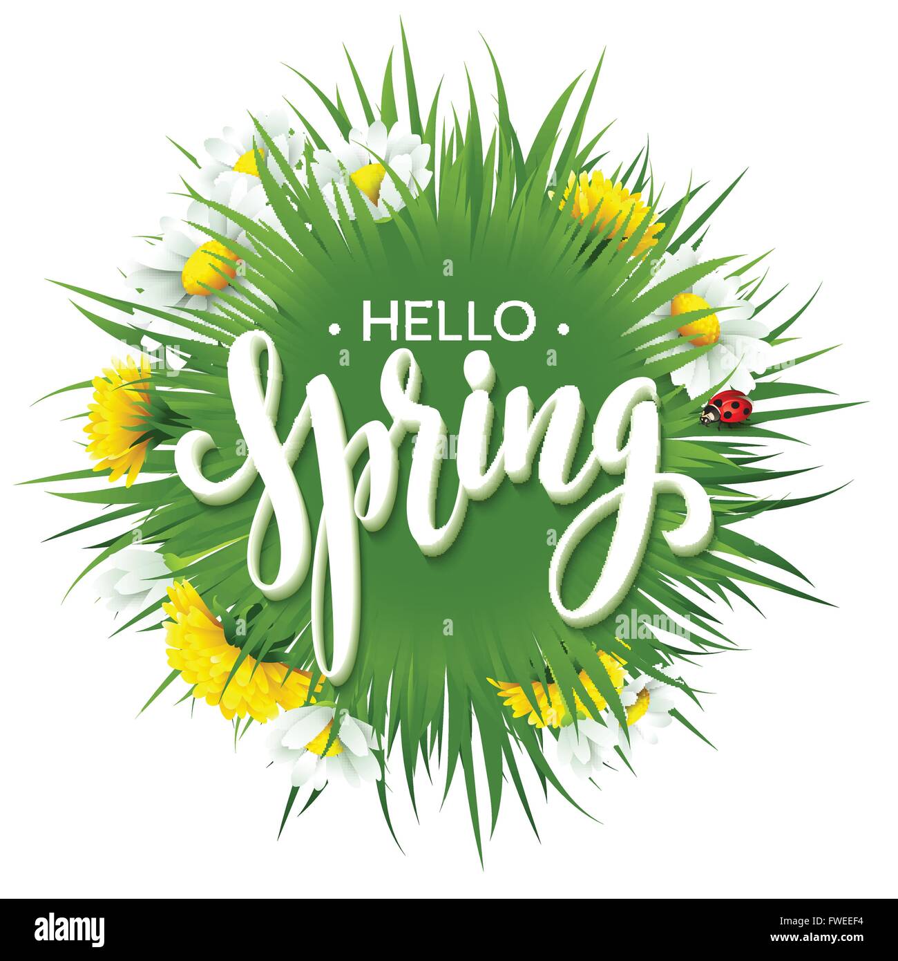 Fresh spring background with grass, dandelions and daisies. Vector ...