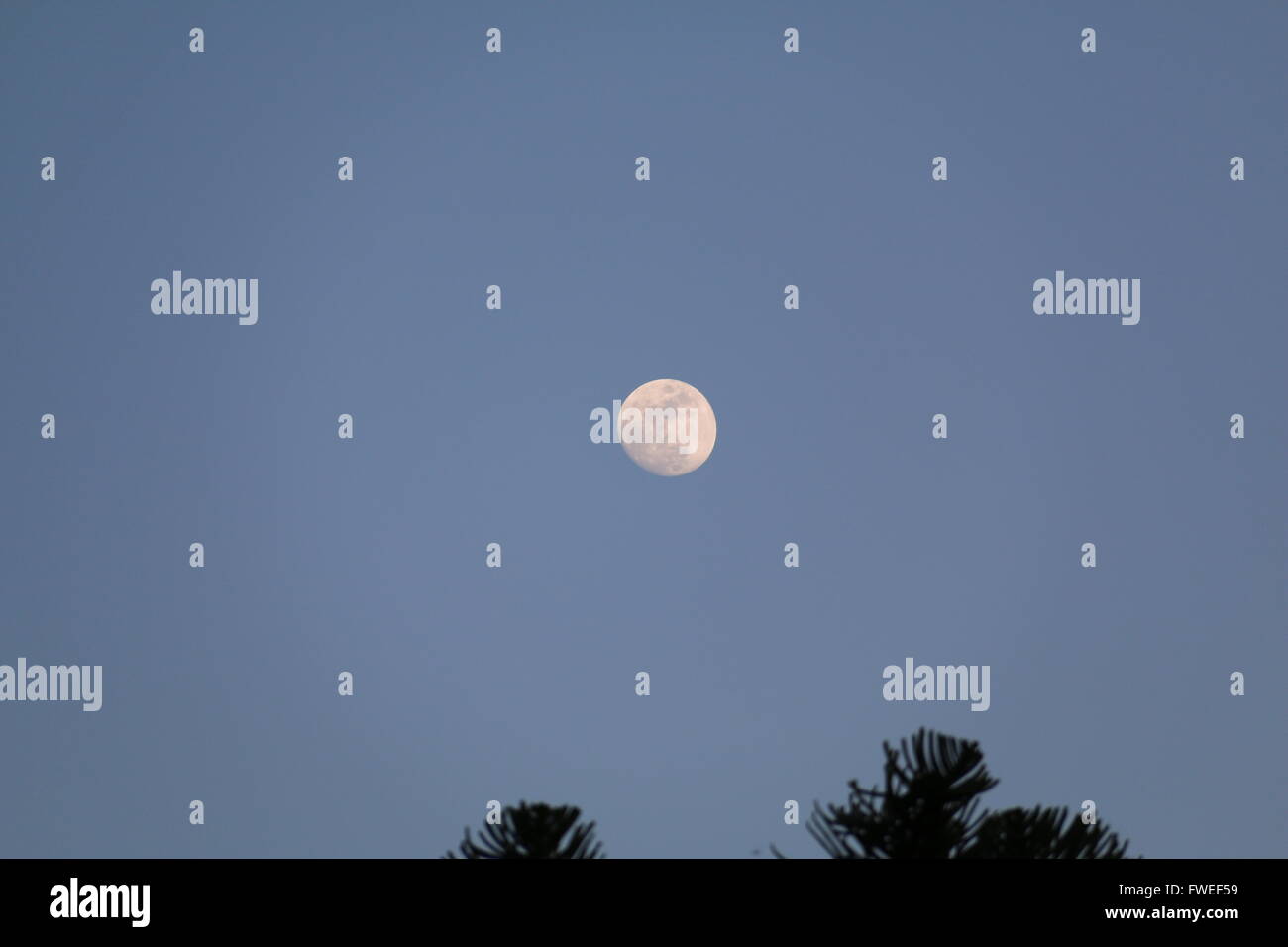 Moon in the sky Stock Photo - Alamy
