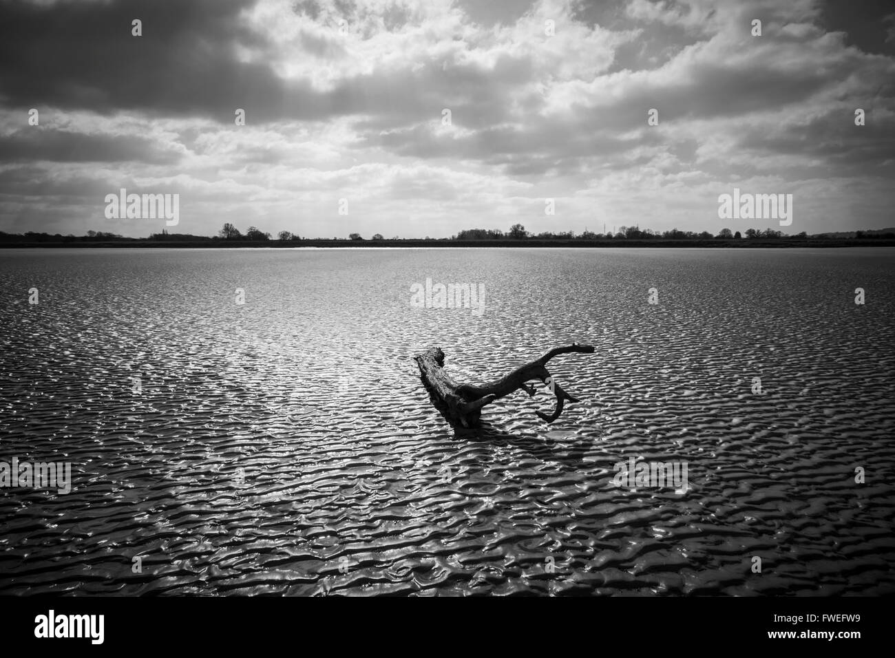 Stranded log hi-res stock photography and images - Alamy